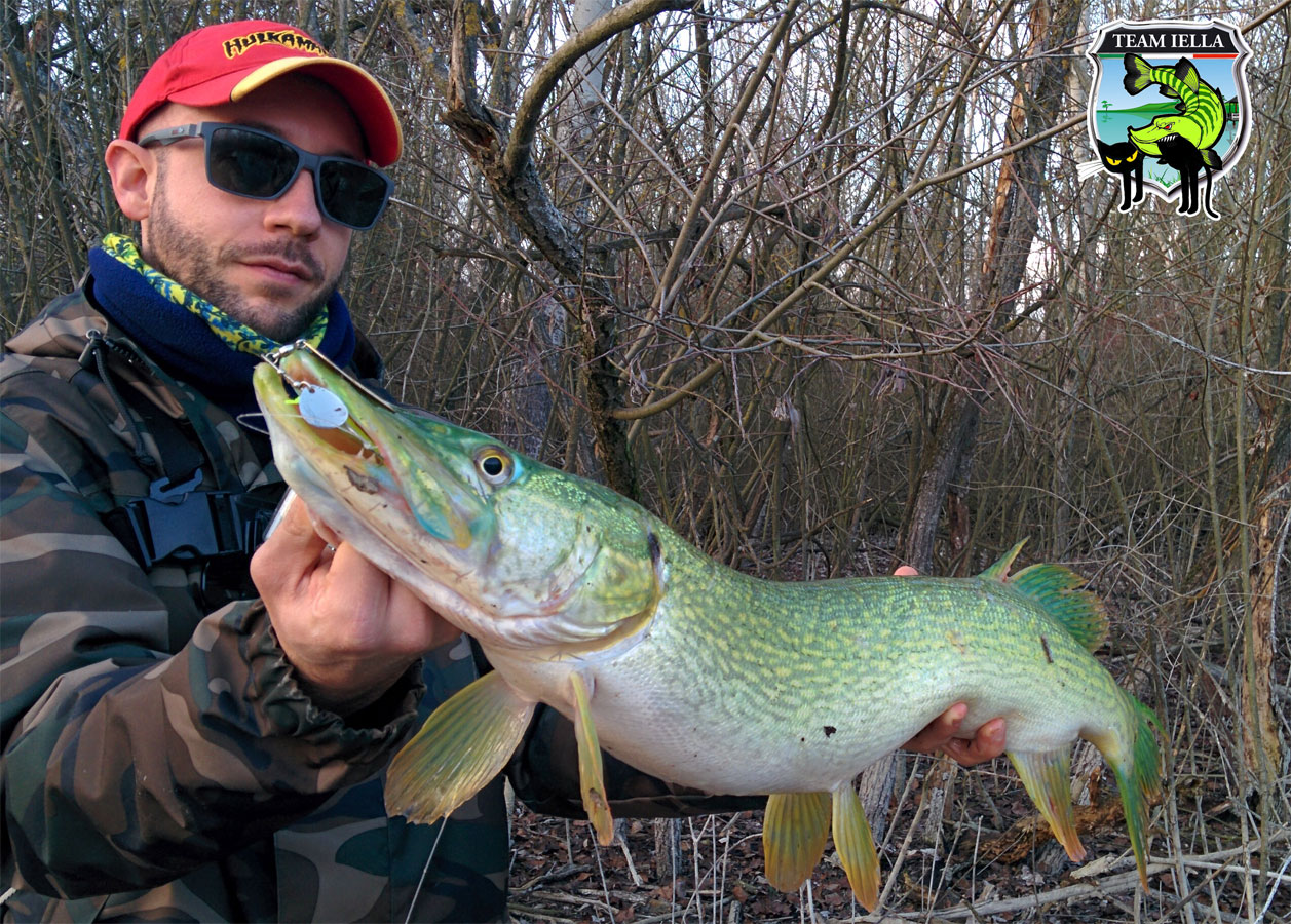 Il curioso caso del luccio fluo dalla bocca blu | Il blog della pesca